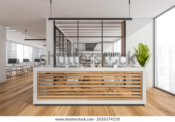 Panoramic Interior Double Reception Desk Having Stock Illustration ...