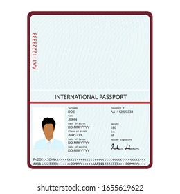 Passport Biometric Data Identification Document International Stock ...