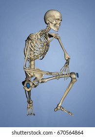 Patella 3d Model Stock Illustration 670564864 | Shutterstock