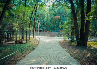Path Through Park Stock Illustration 518186020 | Shutterstock