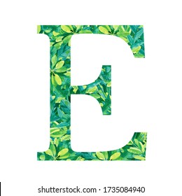Pattern Inside Letter E Alphabet Symbol Stock Illustration 1735084940 ...
