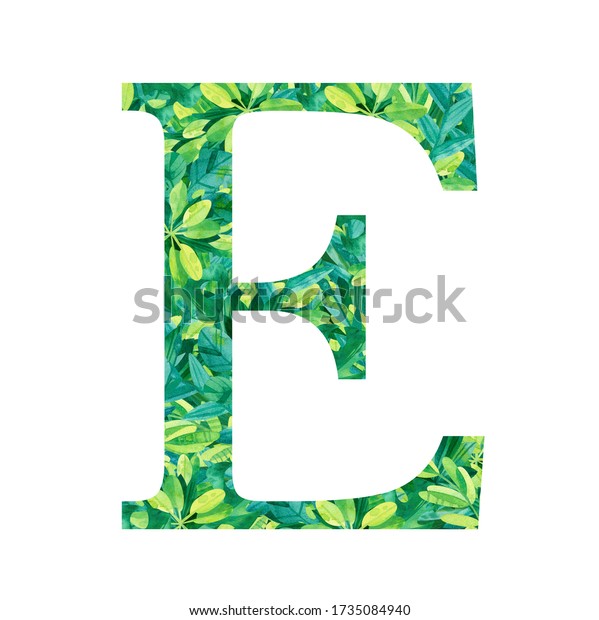 Pattern Inside Letter E Alphabet Symbol Stock Illustration 1735084940 ...