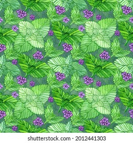 4,574 Menthol flower Images, Stock Photos & Vectors | Shutterstock