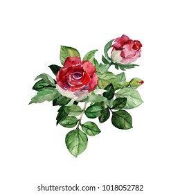 Pattern Roses On Colored Background Stock Illustration 1018052782 ...