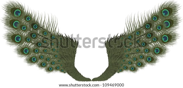 Peacock Wings Stock Illustration 109469000 | Shutterstock