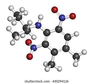 Sinalbin Glucosinolate Molecule Present Seeds White 스톡 일러스트 430289230 ...