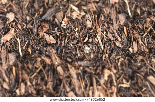 Perspective Ground Texture 3d Illustration Ground Stock Illustration ...