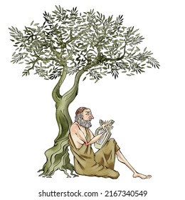 Philosopher Sitting Under Olive Tree Ancient Stock Illustration ...