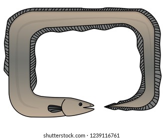 Picture Frame Eel Black White Inside Stock Illustration 1239116065 ...