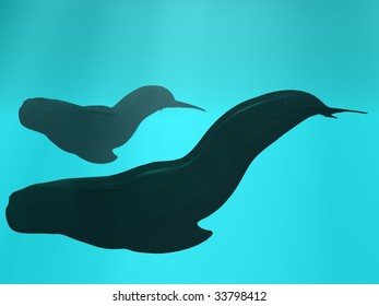 Pilot Whale Stock Illustration 33798412 | Shutterstock