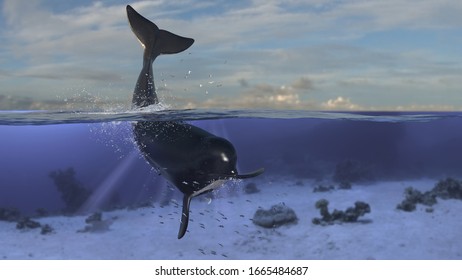 19 Pothead whale Images, Stock Photos & Vectors | Shutterstock
