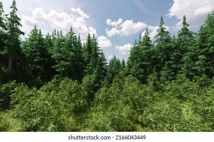 87,256 Blue loof Images, Stock Photos & Vectors | Shutterstock