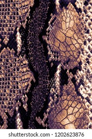 7,543 Piton pattern Images, Stock Photos & Vectors | Shutterstock