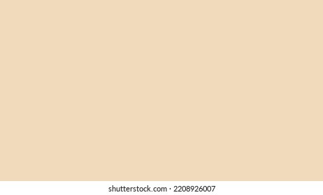 Plain Dutch White Solid Color Background Stock Illustration 2208926007 ...