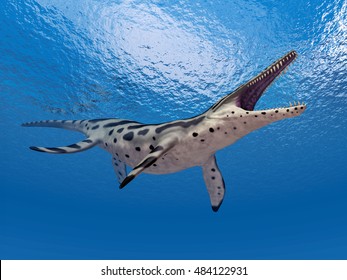 Pliosaurier Kronosaurus Computergenerierte 3D-Illustration ...