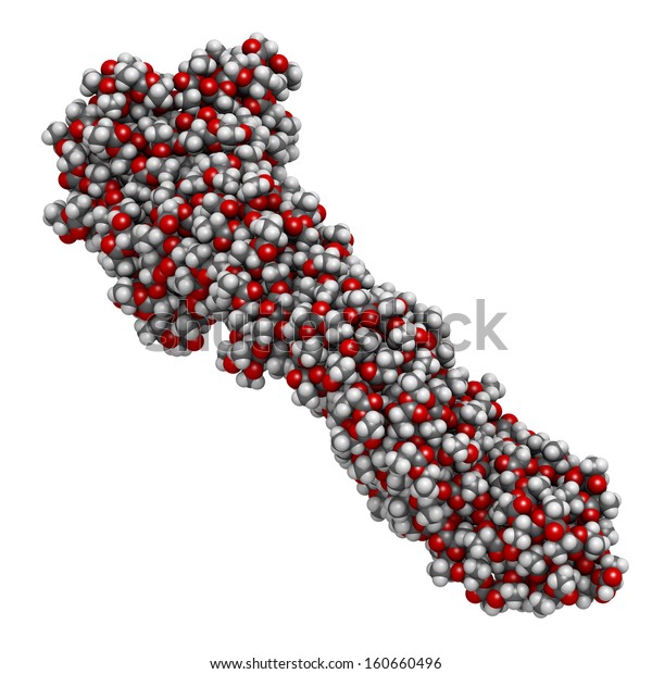 Polylactic Acid Pla Polylactide Bioplastic Chemical Stock Illustration ...