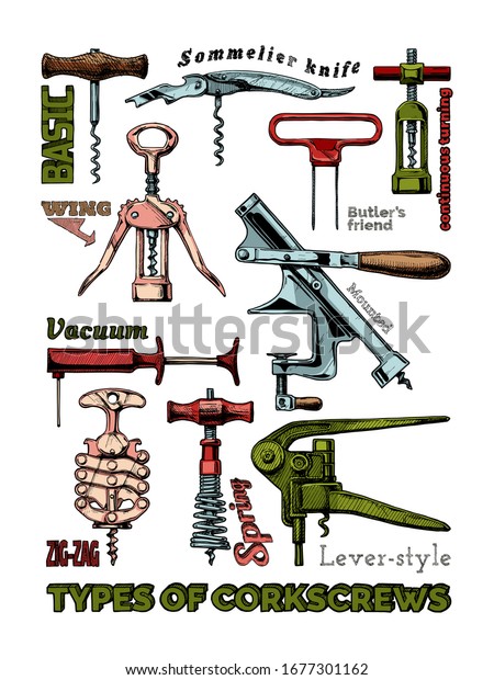 Poster Corkscrews Types Illustration Corkscrew Ink Stock Illustration ...