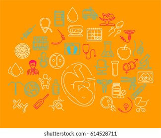 Pregnant Obstetrics Concept Different Obstetrics Elements Stock ...