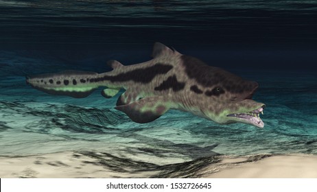 16 Edestus Images, Stock Photos & Vectors | Shutterstock