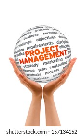 28,400 3d project manager Images, Stock Photos & Vectors | Shutterstock