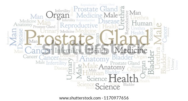 Prostate Gland Word Cloud Stock Illustration 1170977656 | Shutterstock