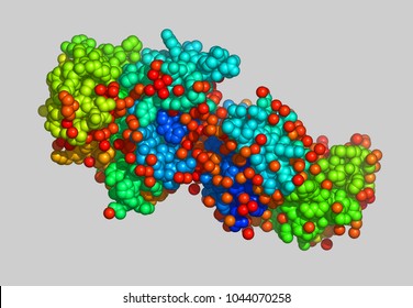 Protein Molecules 3d Rendering Stock Illustration 1044070258 | Shutterstock