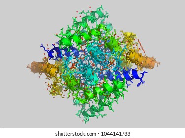 Protein Molecules 3d Rendering Stock Illustration 1044076252