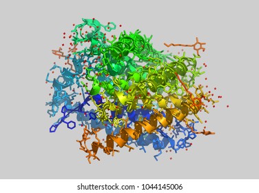 Protein Molecules 3d Rendering Stock Illustration 1044076252