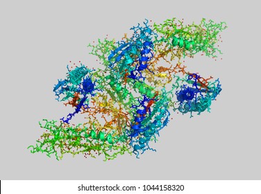 Protein Molecules 3d Rendering Stock Illustration 1044158320 | Shutterstock