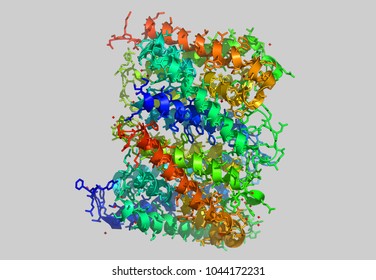 Protein Molecules 3d Rendering Stock Illustration 1044076252