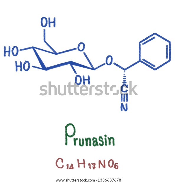 Prunasin Cyanogenic Glycoside Related Amygdalin Chemically Stock ... Prunasin Cyanogenic Glycoside Related Amygdalin Chemically Stock ...