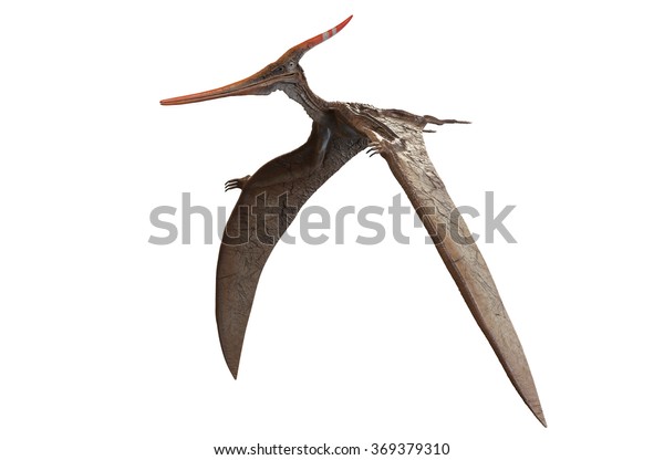 Pteranodon Stock Illustration 369379310