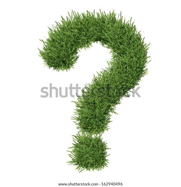 Question Mark Made Grass Isolated Render Stock Illustration 162940496