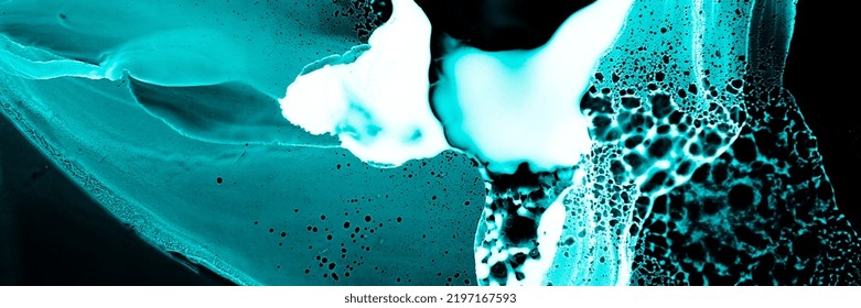 51,965 Bone radiology Images, Stock Photos & Vectors | Shutterstock