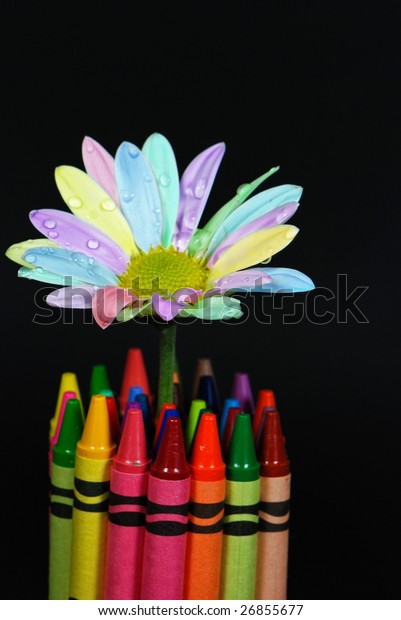 Rainbow Daisy Crayons Stock Illustration 26855677 | Shutterstock