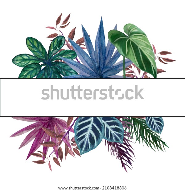 Rainforest Tree Branch Label Border Banner: ภาพประกอบสต็อก 2108418806 ...