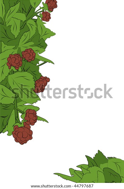Raspberry Page Border Vector Version Available Stock Illustration ...