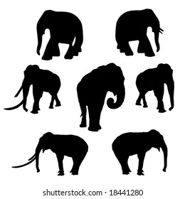 Elephants Vector Silhouettes: vector de stock (libre de regalías ...