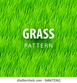 Raster Version Fresh Grass Seamless Beautiful Stock Illustration 568673362
