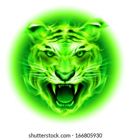 Head Aggressive Green Fire Lion Isolated Stock Vector (Royalty Free ...