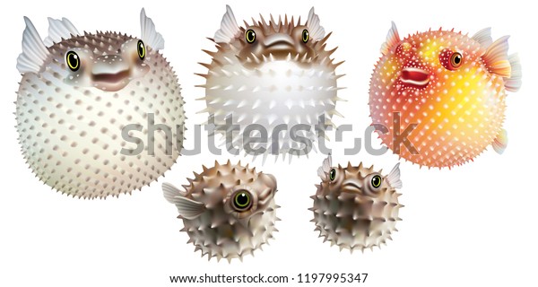 Raster Version Puffer Fish On White Stock Illustration 1197995347