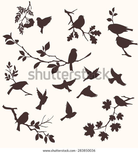 Raster Version Set Bird Twig Silhouettes Stock Illustration 283850036