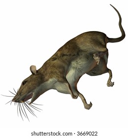 1,005 Dead mouse Stock Illustrations, Images & Vectors | Shutterstock
