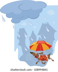 Rate Umbrella Stock Illustration 108994841 | Shutterstock