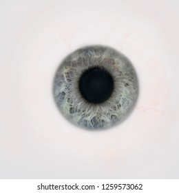 103,483 Brown eye texture Images, Stock Photos & Vectors | Shutterstock