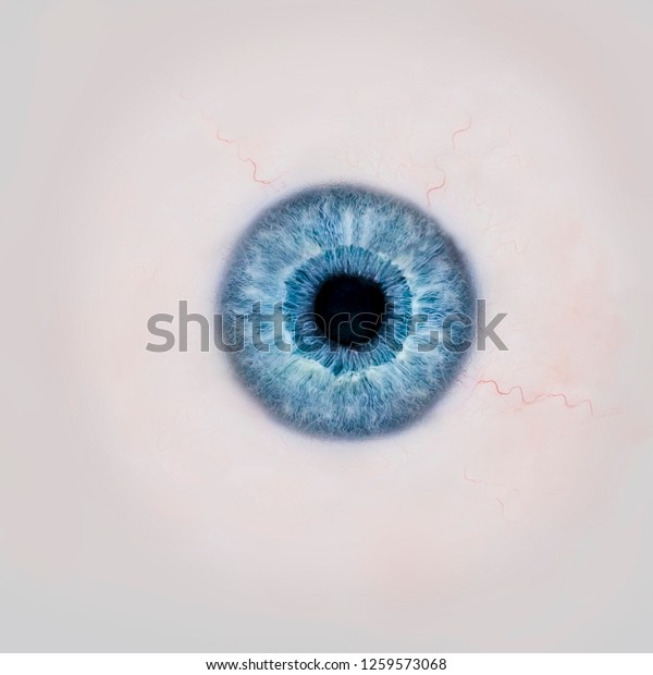 Real Eye High Resolution Texture Natural Stock Illustration 1259573068