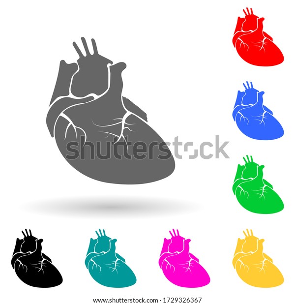 Real Image Human Heart Multi Color Stock Illustration 1729326367 ...