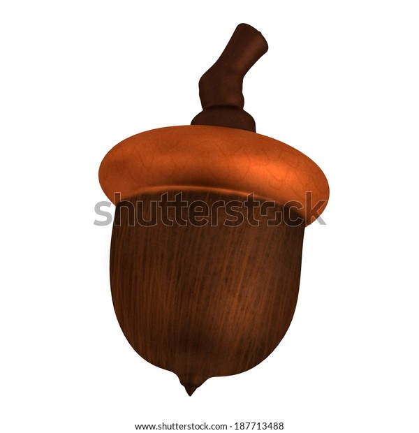 Realistic 3d Render Acorn Stock Illustration 187713488 | Shutterstock