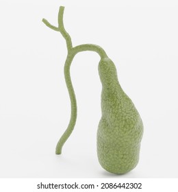 Realistic 3d Render Gallbladder Stock Illustration 2086442302 ...