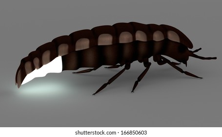 1,234 Glow worms Stock Illustrations, Images & Vectors | Shutterstock
